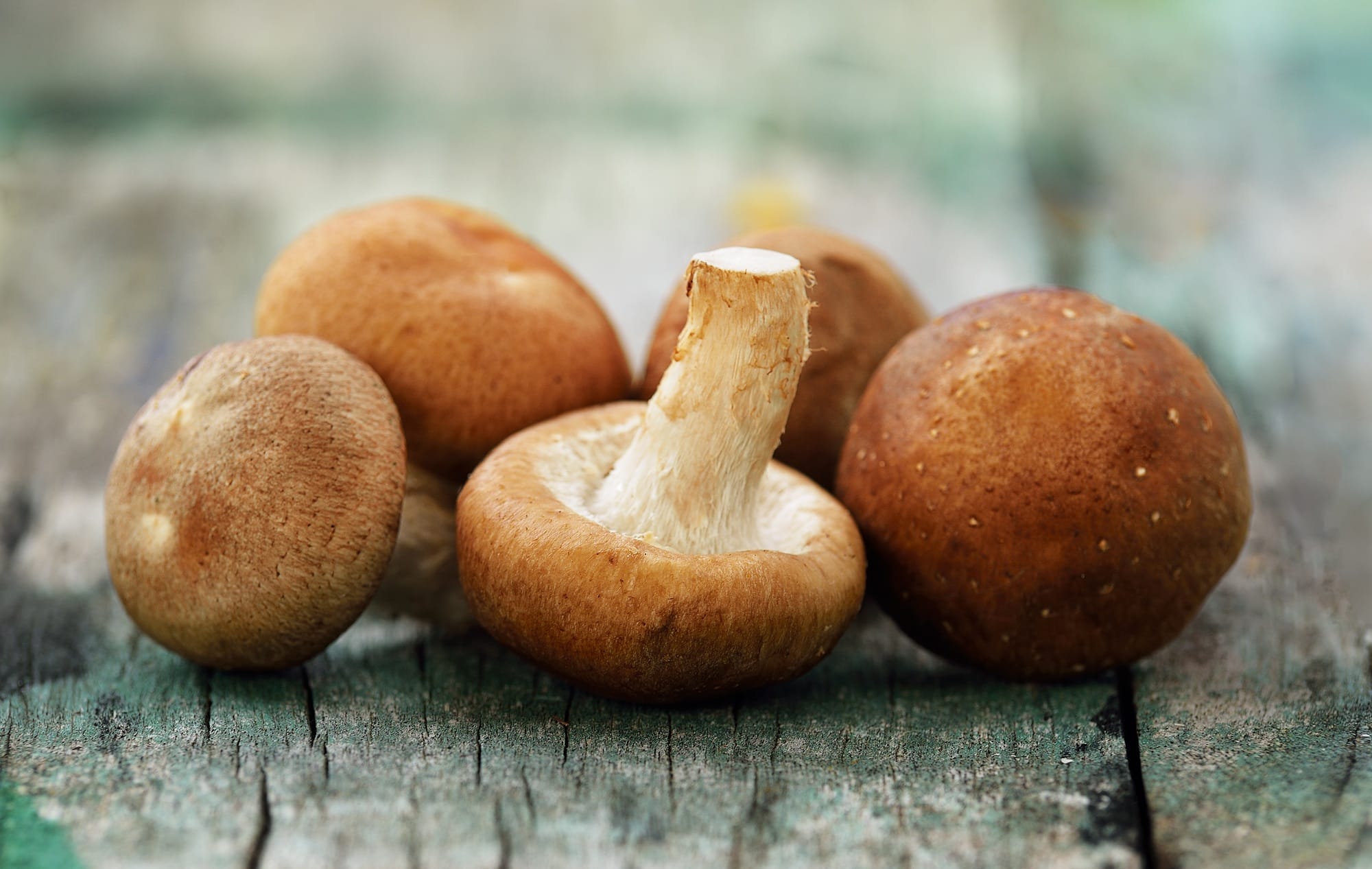 Comment cuisiner les shiitake