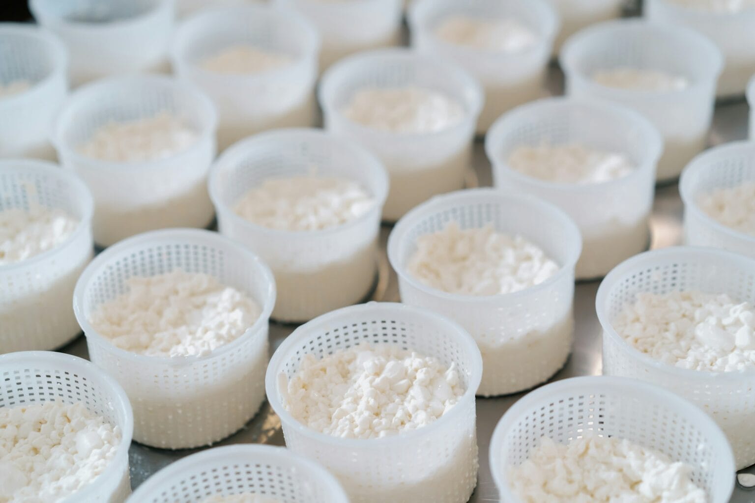 Où acheter de la présure