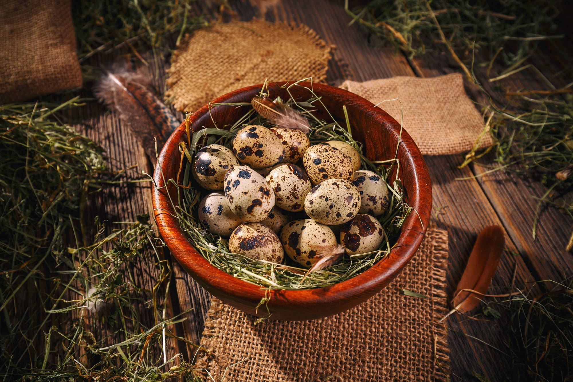 Cuisson parfaite des œufs de caille : guide et astuces d’écalage