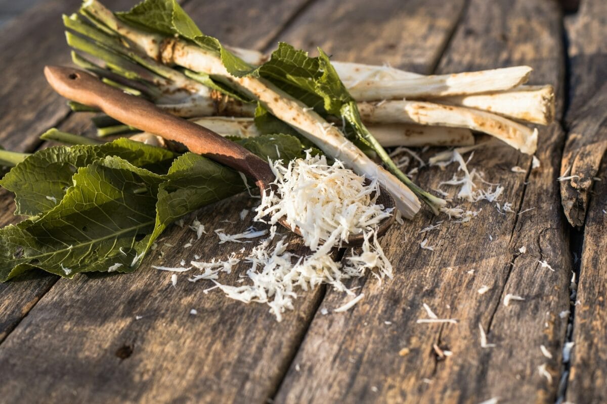 Où trouver du raifort