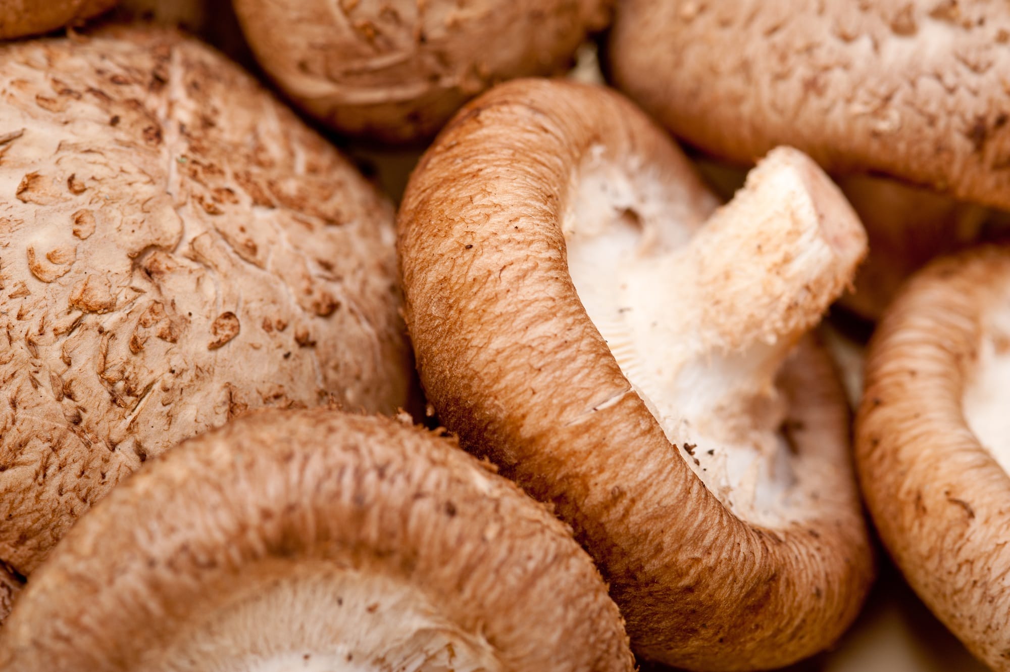 Comment cuisiner les shiitake